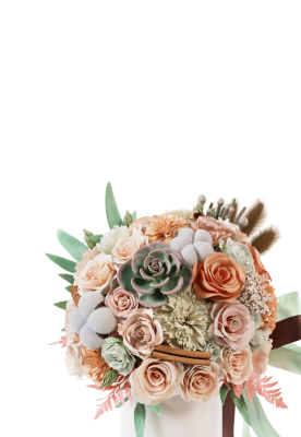 September Birth Flower Guide: Explore Aster and Morning Glory, Flowers ...